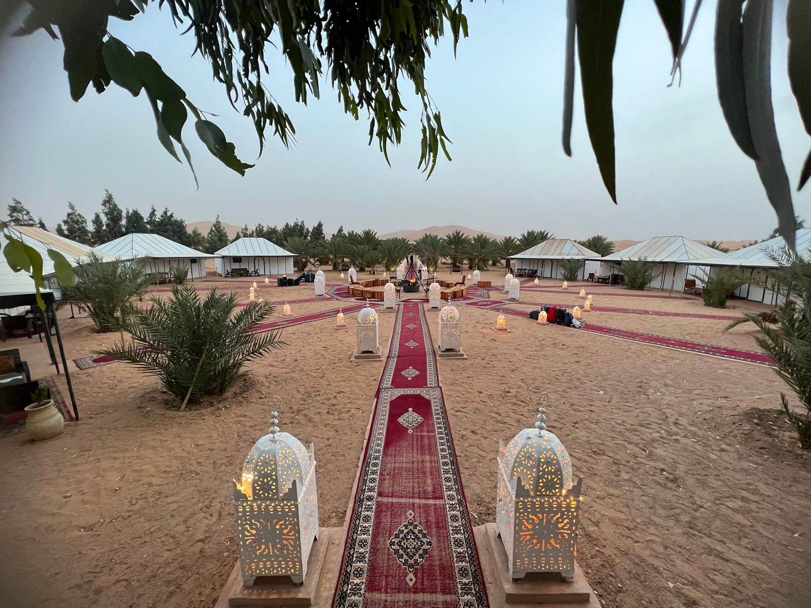 Luxury Oasis Camp Panoramica - Luxury Oasis Camp